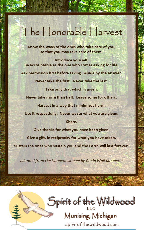 The Honorable Harvest – Spirit of the Wildwood LLC